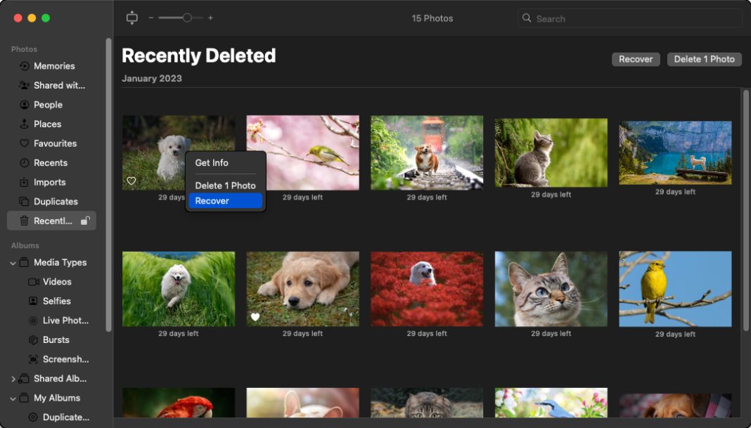 How to Recover Permanently Deleted Files on Mac | TOP 7 Ways