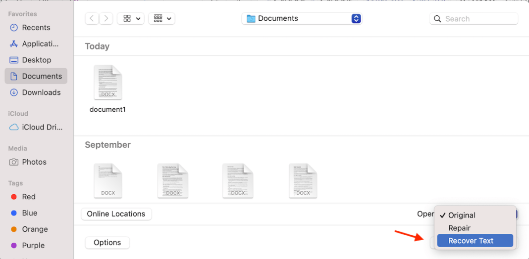 [TOP 6] Methods to Recover a Deleted Word Document on Mac