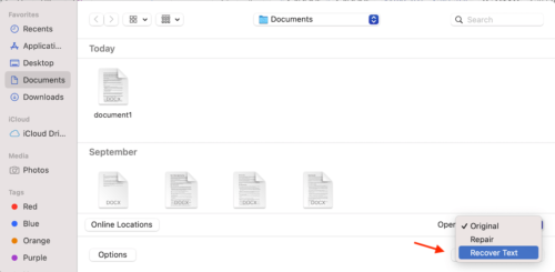 [TOP 6] Methods to Recover a Deleted Word Document on Mac