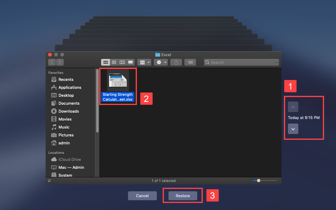 How to Recover Deleted or Unsaved Excel Files on Mac (2024)