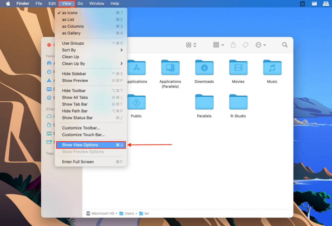 How to Show Hidden Files and Folders on a Mac | All the Methods