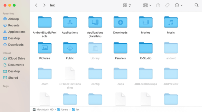 How to Show Hidden Files and Folders on a Mac | All the Methods