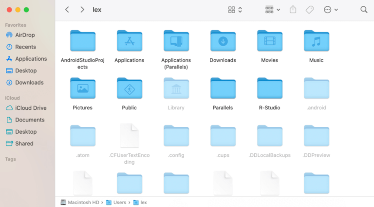 How to Show Hidden Files and Folders on a Mac | All the Methods