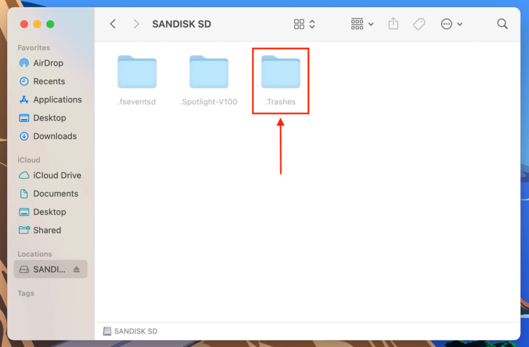 How to Recover Deleted Files from an SD Card on Mac in 2025