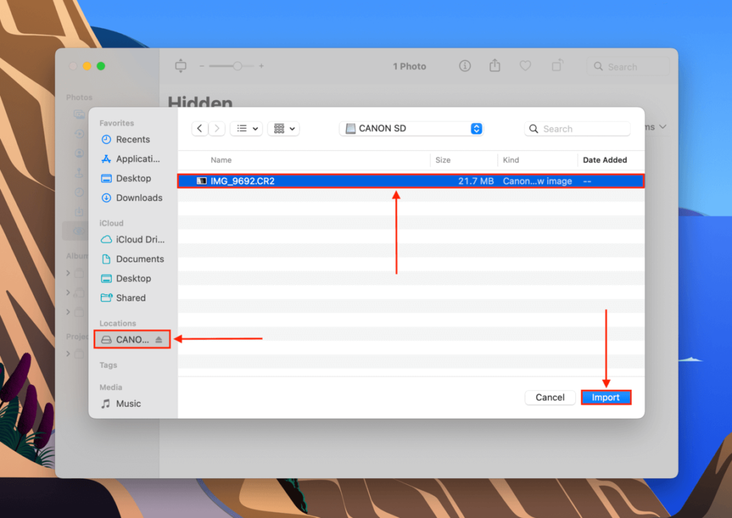 How to Import Photos and Videos from an SD Card to Mac [Guide]
