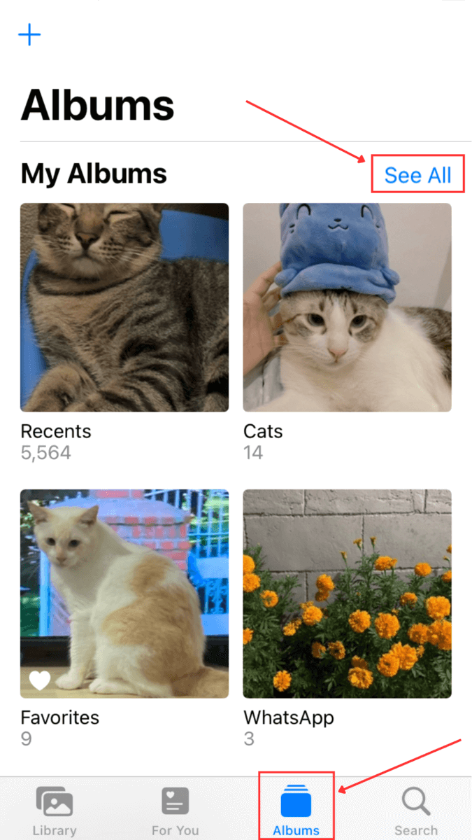 How to Delete WhatsApp Photos and Videos on an iPhone | Guide