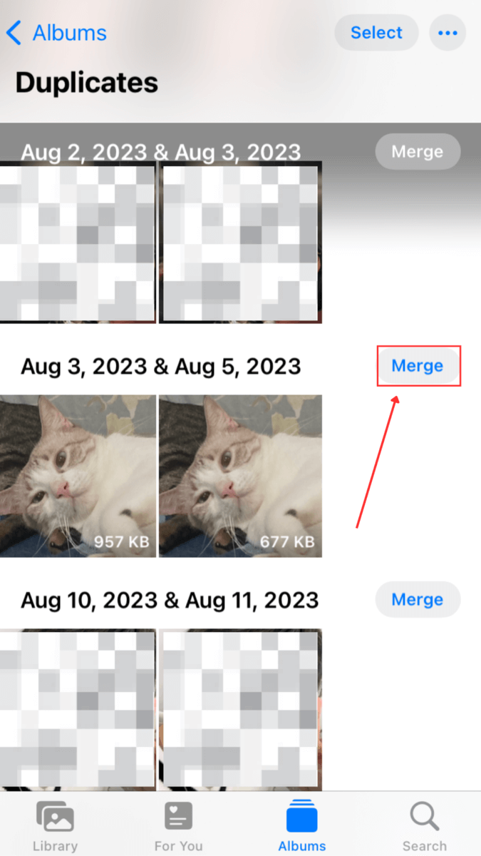 Duplicate Photos are Not Showing Up in iOS 16: How to Fix