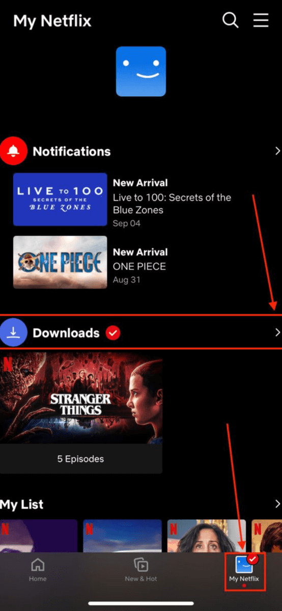 How to Permanently Delete Videos from an iPhone/iPad (Guide)