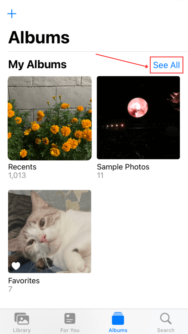 How to Organize Photos on iPhone without Duplicates: Best Ways