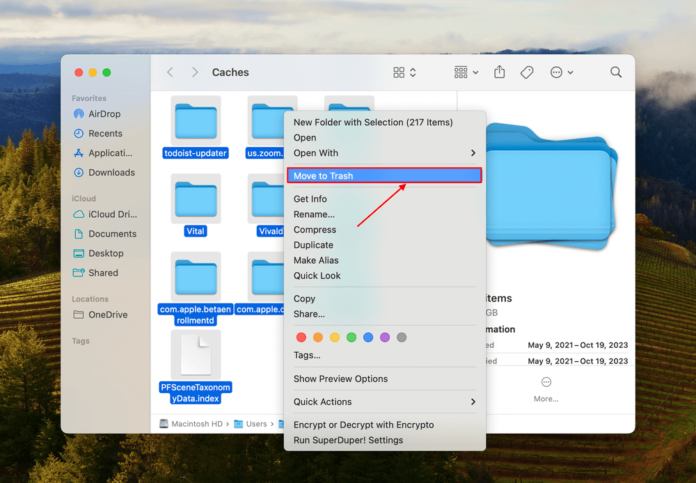 How To Fix Greyed Out Folder On Macos And Restore Data