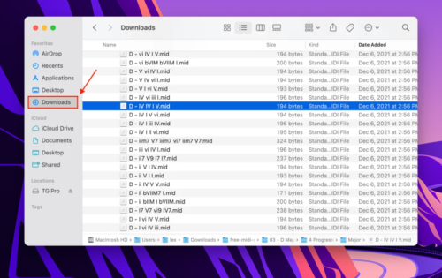 How to Restore Deleted Downloads Folder on Mac [Best Methods]