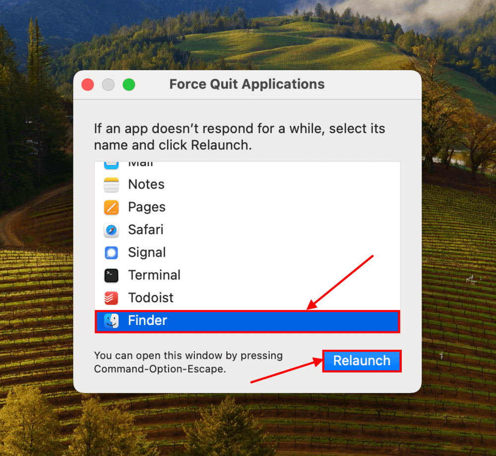 How to Fix Greyed Out Folder on MacOS and Restore Data