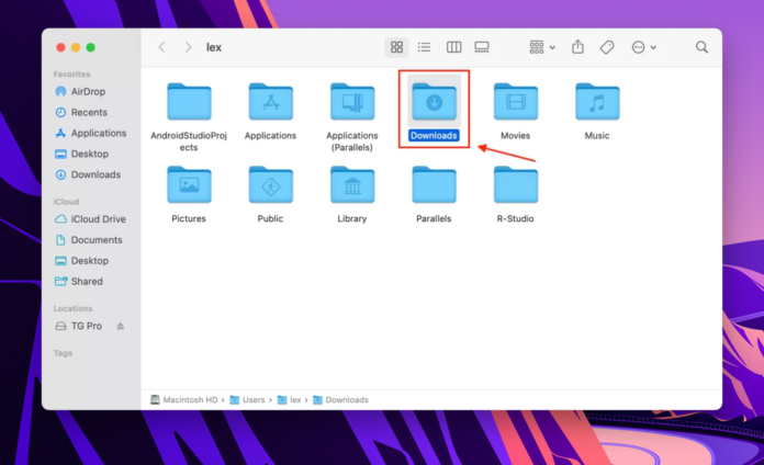 How to Restore Deleted Downloads Folder on Mac [Best Methods]