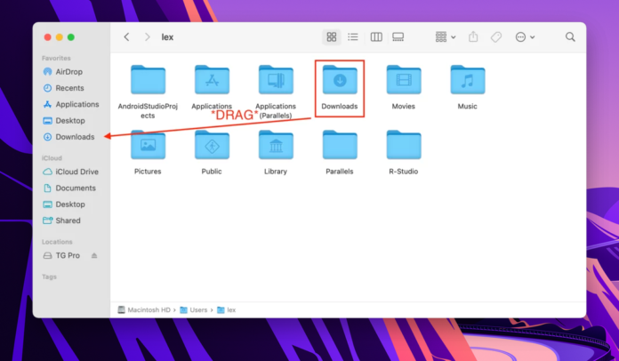 How to Restore Deleted Downloads Folder on Mac [Best Methods]
