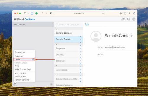 How to Delete Duplicate Contacts on an iPhone with Free Methods
