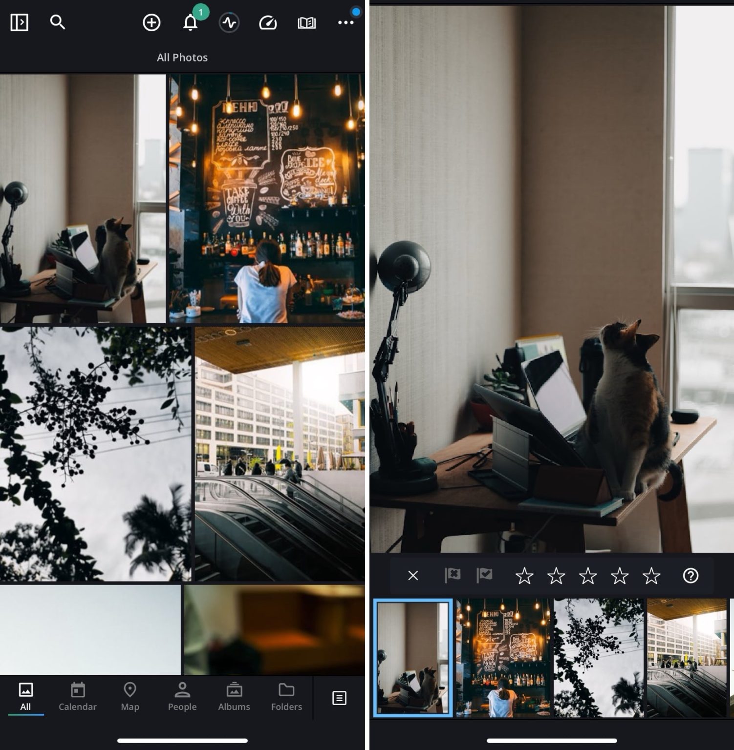 10 Best Photo Organizer Apps for iPhone to Tame Photo Chaos
