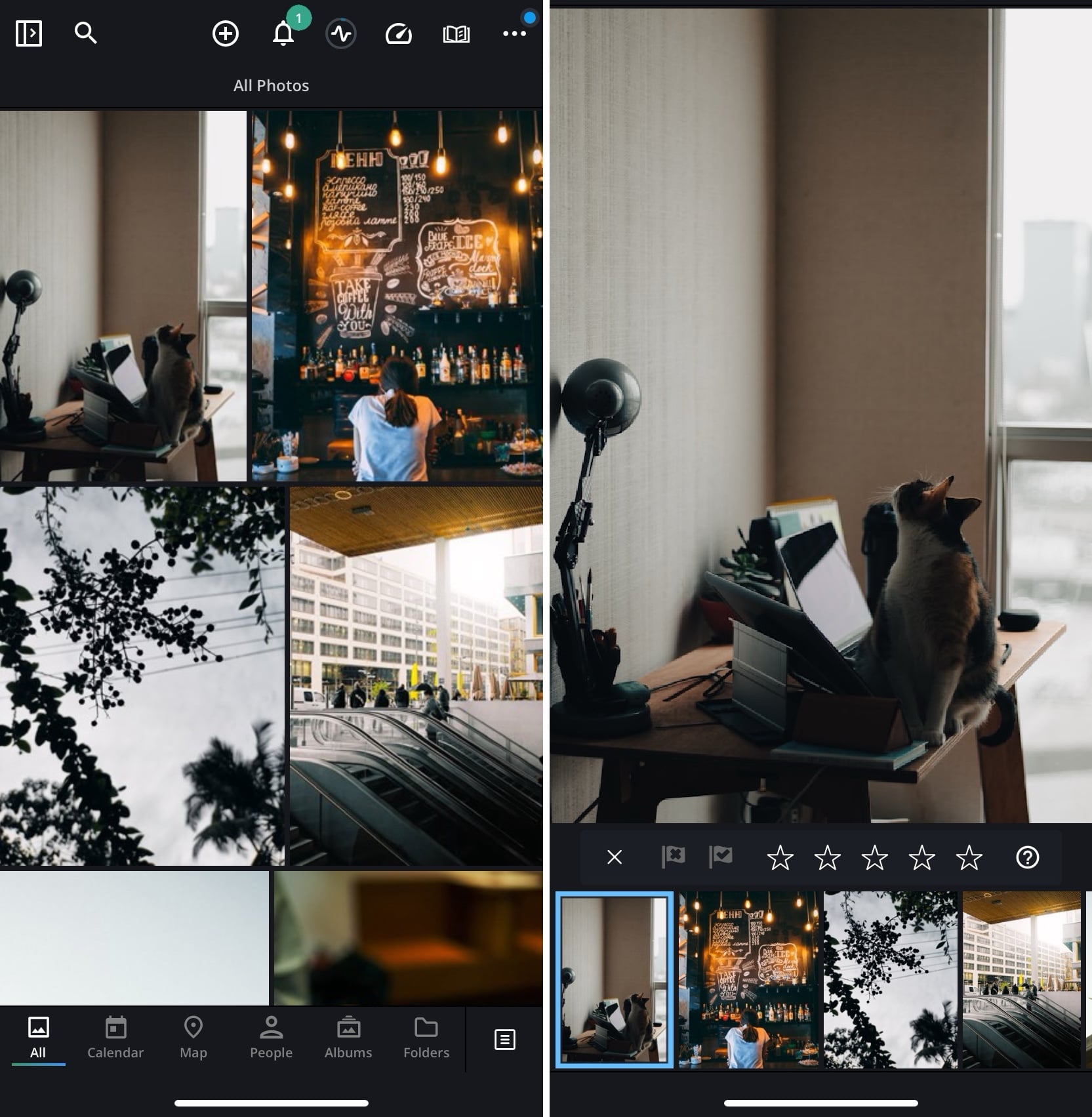 10 Best Photo Organizer Apps for iPhone to Tame Photo Chaos