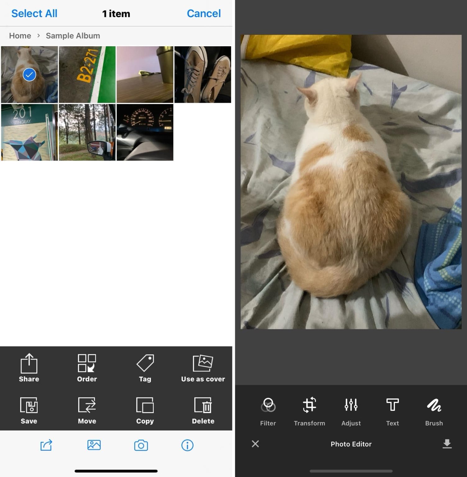9 Best Photo Organizer Apps for iPhone in 2024
