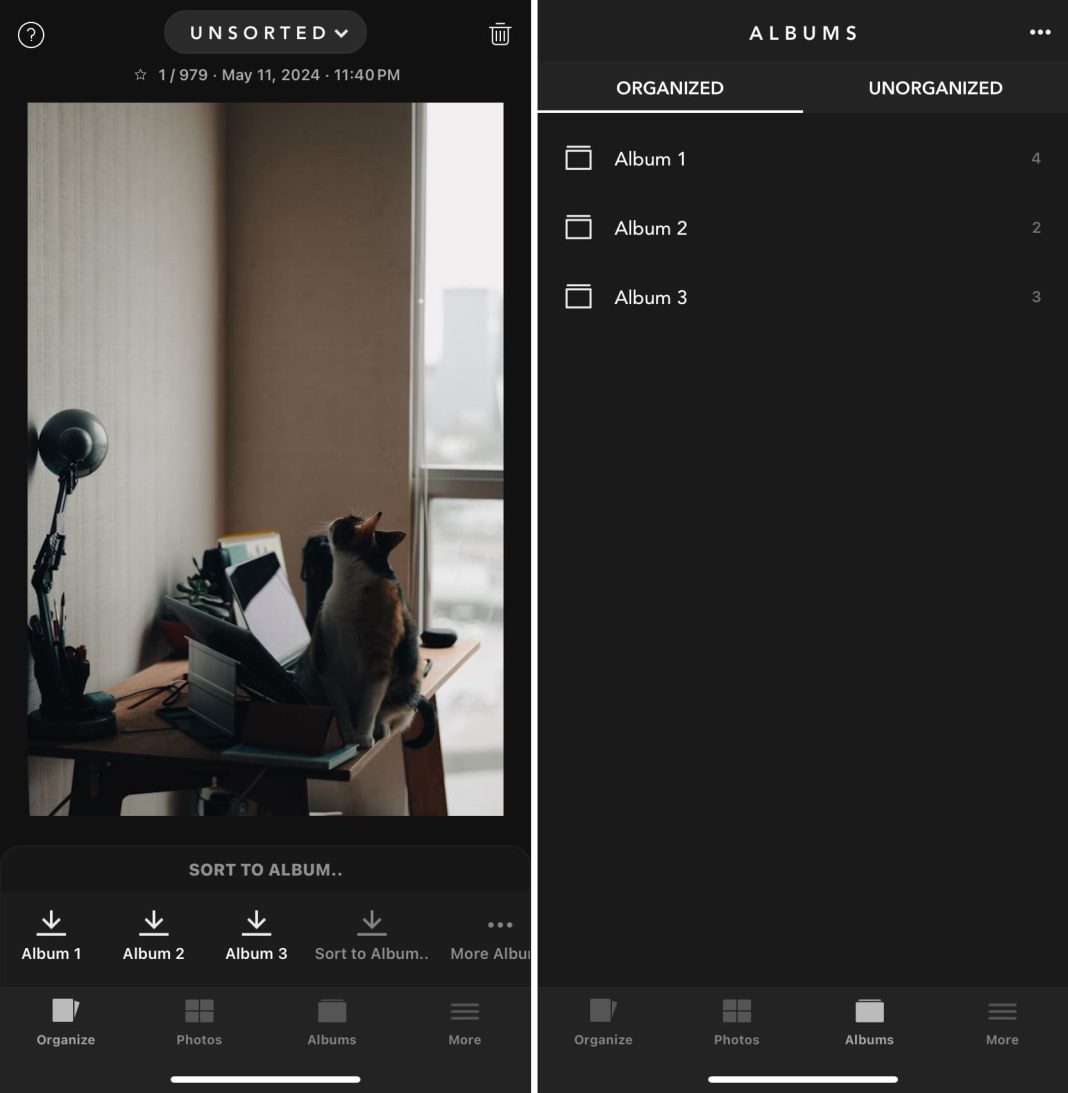 10 Best Photo Organizer Apps for iPhone to Tame Photo Chaos