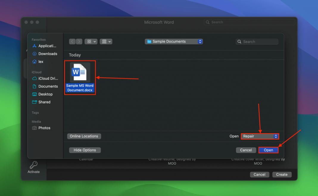 What to Do When Microsoft Word Keeps Crashing on Mac? Try This