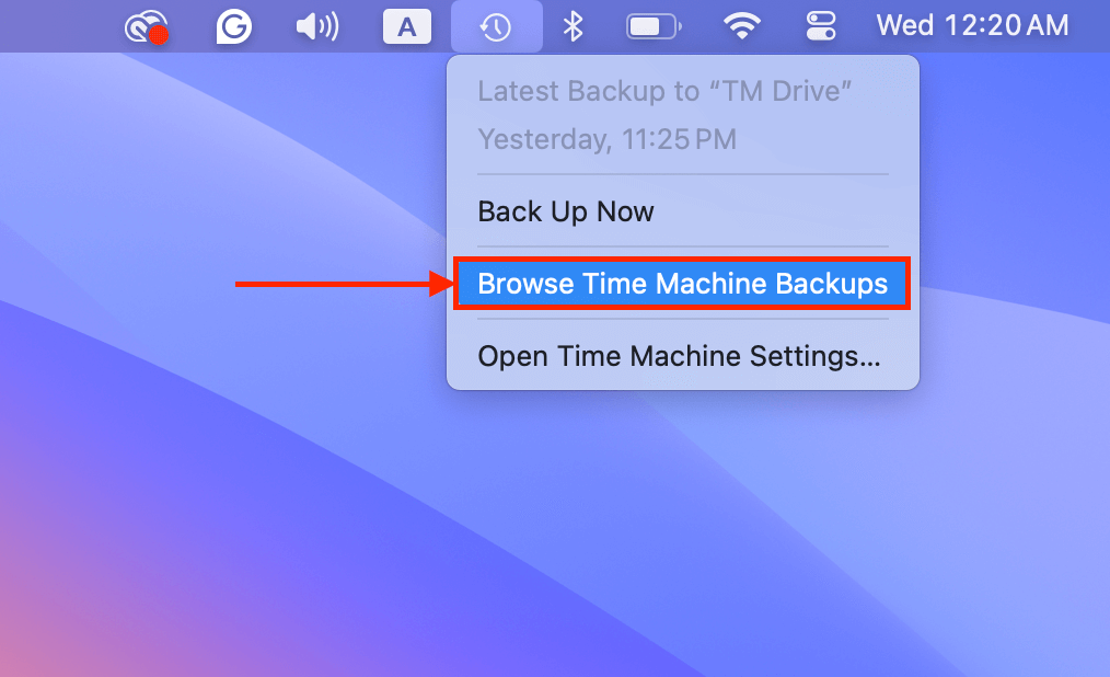 Put Back Option Missing on Mac? Here’s How to Recover Your Files