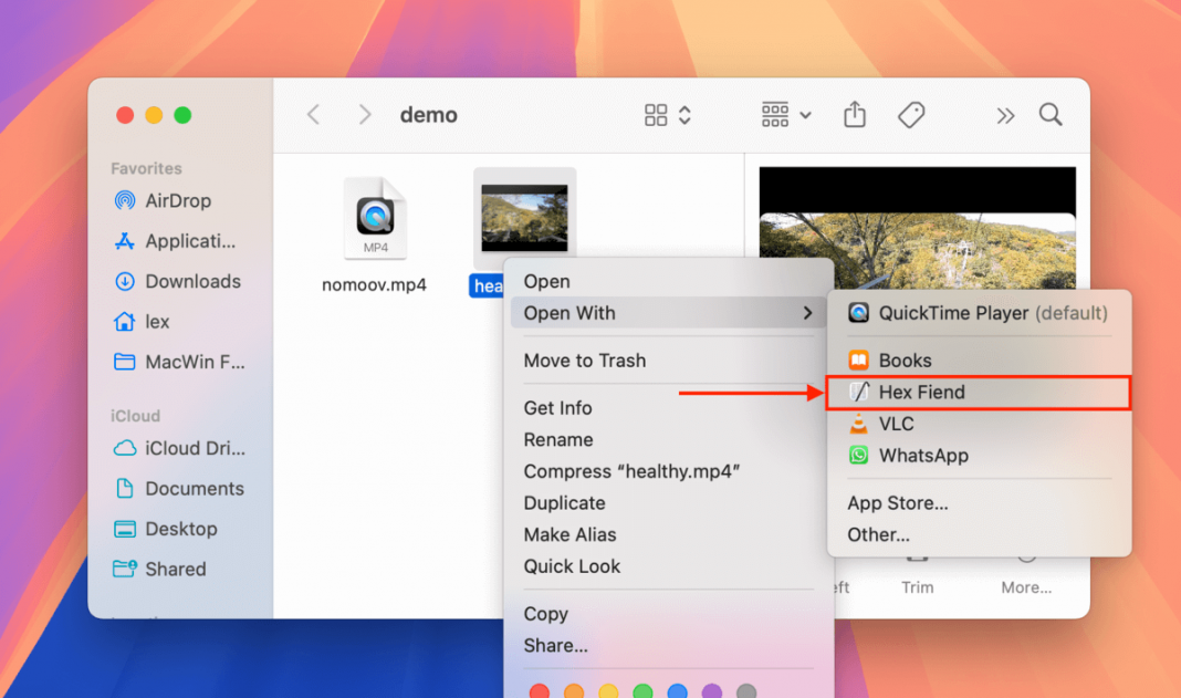 How to Fix 'MOOV Atom Not Found' Error in Video Files: Guide