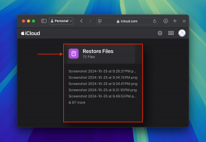4 Easy Methods to Recover Files Deleted from iCloud Backup