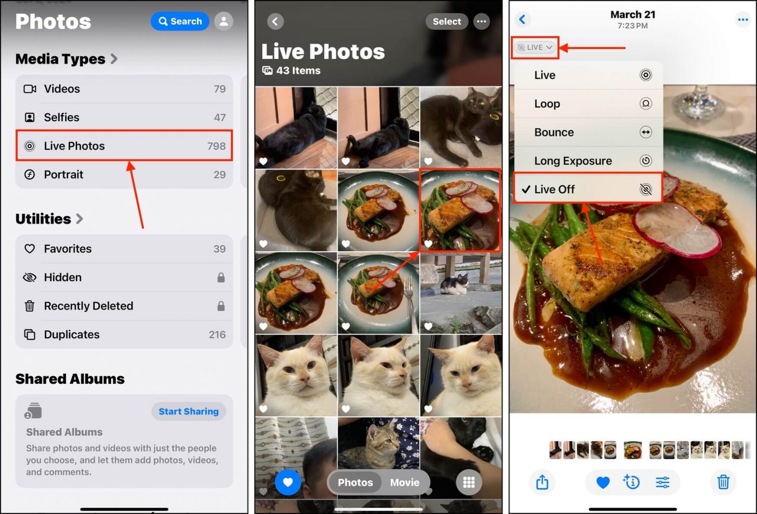 6 Ways to Convert Live Photos to Still Images on iPhone Easily
